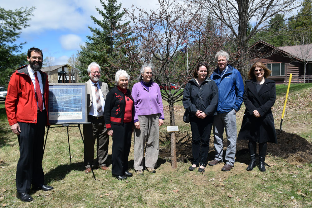 Tree planting | News, Sports, Jobs - Adirondack Daily Enterprise